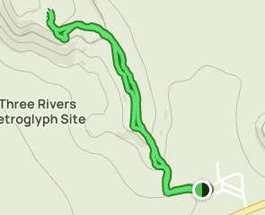 Three Rivers Petroglyph Site Trail, New Mexico - 312 Reviews, Map ...