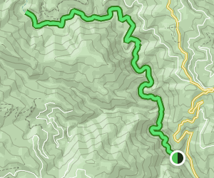 Mad River Trail: 46 Reviews, Map - Washington | AllTrails