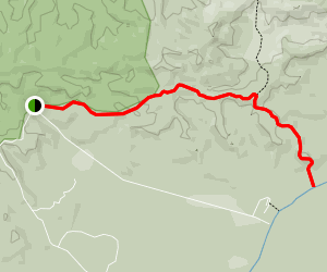 Bukit Lambir - Sungai Bakong - Sarawak, Malaysia | AllTrails