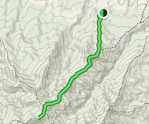 Mount Pirongia from Corcoran Road: 36 Reviews, Map - Waikato, New ...