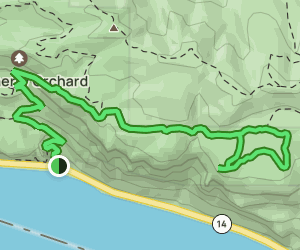 Lyle Cherry Orchard Trail: 897 Reviews, Map - Oregon | AllTrails