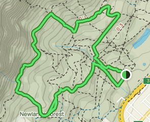 Newlands Forest - Fernwood Track Loop, Western Cape, South Africa - 66 ...