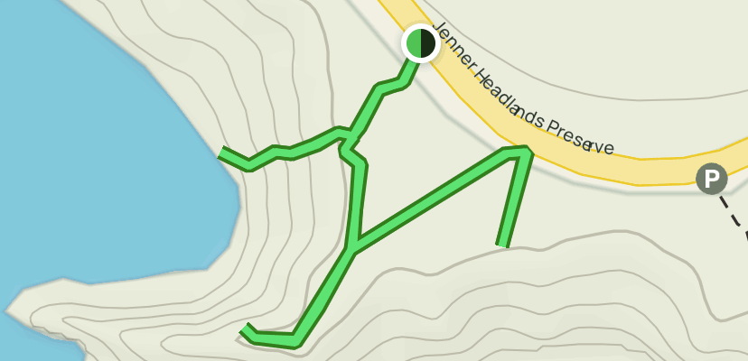 Are Dogs Allowed At Jenner Headlands