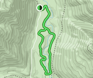 Lower South Fork Skokomish River Loop: 4 Reviews, Map - Washington ...