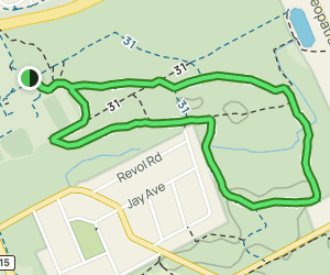 Pinhey Forest 31 Trail: 617 Reviews, Map - Ontario, Canada | AllTrails