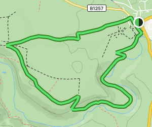 Helmsley - Duncombe Park Woodland Circular - North Yorkshire, England ...