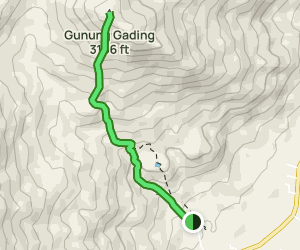 Gunung Gading: 2 Reviews, Map - Sarawak, Malaysia | AllTrails