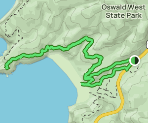 Cape Falcon Trail: 2990 Reviews, Map - Oregon | AllTrails