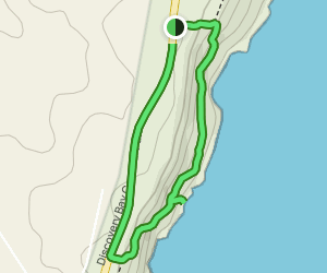 Enchanted Forest Walk: 16 Reviews, Map - Victoria, Australia | AllTrails