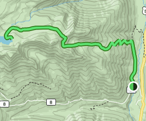 Columbine Lake Trail #509: 716 Reviews, Map - Colorado | AllTrails