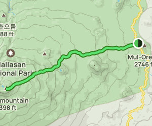 Hallasan Mountain via Seongpanak Trail: 123 Reviews, Map - Jeju, South ...