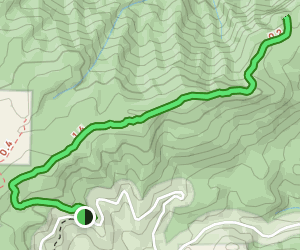 Big Lost Cove Cliffs Trail: 458 Reviews, Map - North Carolina | AllTrails