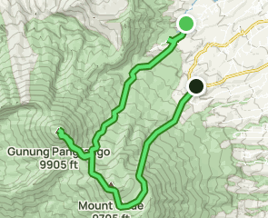 Tour of Mount Gede-Pangrango, West Java, Indonesia - 6 Reviews, Map ...
