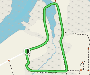 Roxbury Lower Pond Loop: 8 Reviews, Map - South Carolina | AllTrails