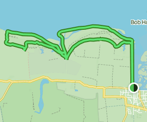 Wells-Next-The-Sea to Holkham Beach and Forest: 111 Reviews, Map ...