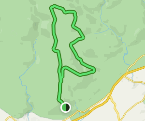 Ivybridge - Piles Hill Circular: 1 Reviews, Map - Devon, England ...