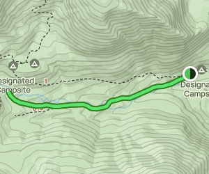 Geneva Creek Iron Fens: 111 Reviews, Map - Colorado | AllTrails