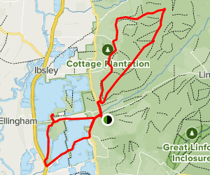 Blashford Lakes and Cottage Plantation Circular - Hampshire, England ...
