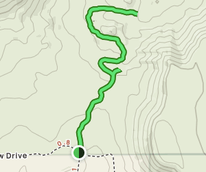 Black Lava Butte Trail: 79 Reviews, Map - California | AllTrails