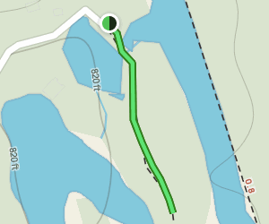 Wilson's Falls Trail: 233 Reviews, Map - Ontario, Canada | AllTrails