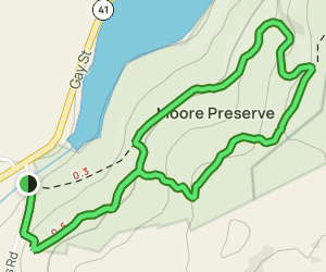 Mary Moore Cliff Trail Loop: 33 Reviews, Map - Connecticut | AllTrails