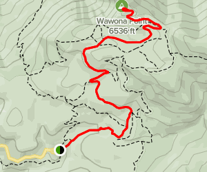 Mariposa Grove of Giant Sequoias Trail - California | AllTrails