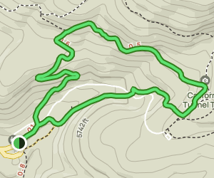 Grizzly Giant Loop Trail: 1390 Reviews, Map - California | AllTrails