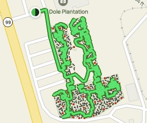Pineapple Garden Maze: 18 Reviews, Map - Oahu, Hawaii | AllTrails
