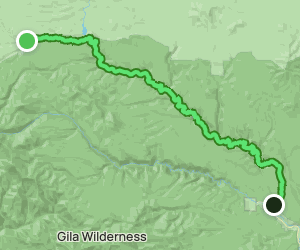 Middle Fork Gila River Trail #157: 5 Reviews, Map - New Mexico | AllTrails