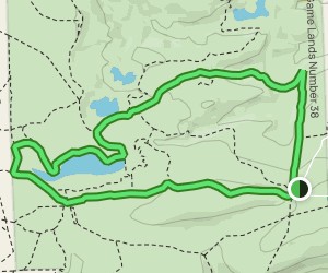 Wolf Swamp and Deep Lake Trails Loop: 122 Reviews, Map - Pennsylvania ...