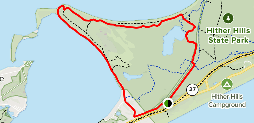 Are Dogs Allowed At Hither Hills Campground