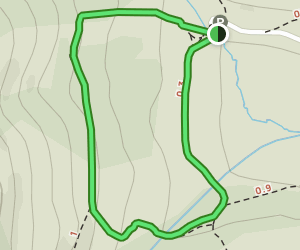 Upper Beaver Meadows Loop Trail | Mappa, Guida - Colorado | AllTrails