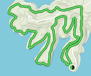 Laurel River Lake Trail: 167 Reviews, Map - Kentucky | AllTrails