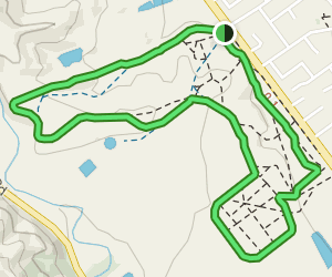 Alston Park Loop Trail: 636 Reviews, Map - California | AllTrails