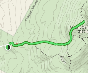 Mount Cardigan via West Ridge Trail: 1748 Reviews, Map - New Hampshire ...