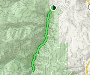 Rapid River Trail: 173 Reviews, Map - Idaho | AllTrails