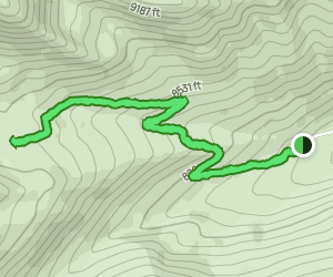 Baker Lake Trail: 293 Reviews, Map - Idaho | AllTrails