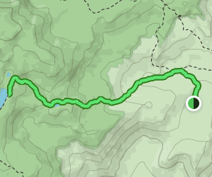 Norris Trailhead to Jackass Lakes: 65 Reviews, Map - California | AllTrails