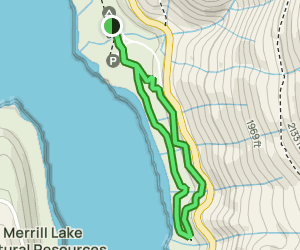 Merrill Lake Campground: 19 fotos - Washington | AllTrails