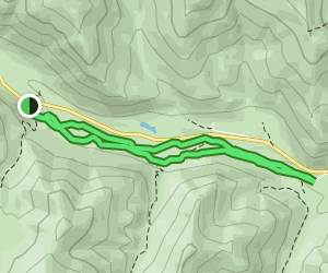Silver Run Loop Trail: 357 Reviews, Map - Montana | AllTrails