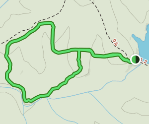 Red-cockaded Woodpecker Trail: 80 Reviews, Map - Georgia | AllTrails