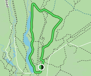 Batsto Lake Trail: 1304 Reviews, Map - New Jersey | AllTrails