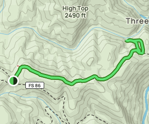 Three Forks Trail: 102 Reviews, Map - Georgia | AllTrails