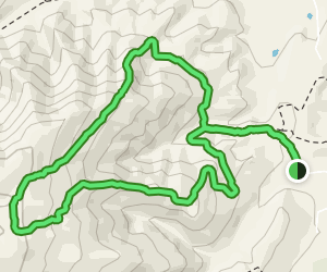 Long Gully Loop Track: 14 Reviews, Map - Otago, New Zealand | AllTrails
