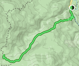 Indian Canyon West Fork Trail | Map, Guide - California | AllTrails