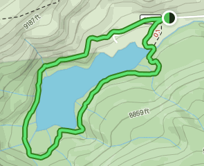 Lower Cataract Loop Trail, Colorado - 855 Reviews, Map | AllTrails