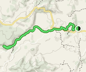 Waitomo Walkway: 42 Reviews, Map - Waikato, New Zealand | AllTrails