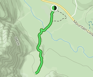Big Four Ice Caves Trail: 1180 Reviews, Map - Washington | AllTrails