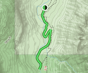 Grotto Falls Trail: 567 Reviews, Map - Montana | AllTrails