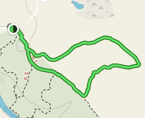 Forest Trail, White Pine Path, and Town Forest Trek Loop, Maine - 8 ...